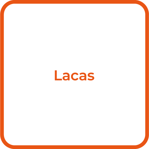 Lacas