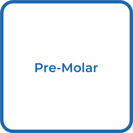Pre-Molar